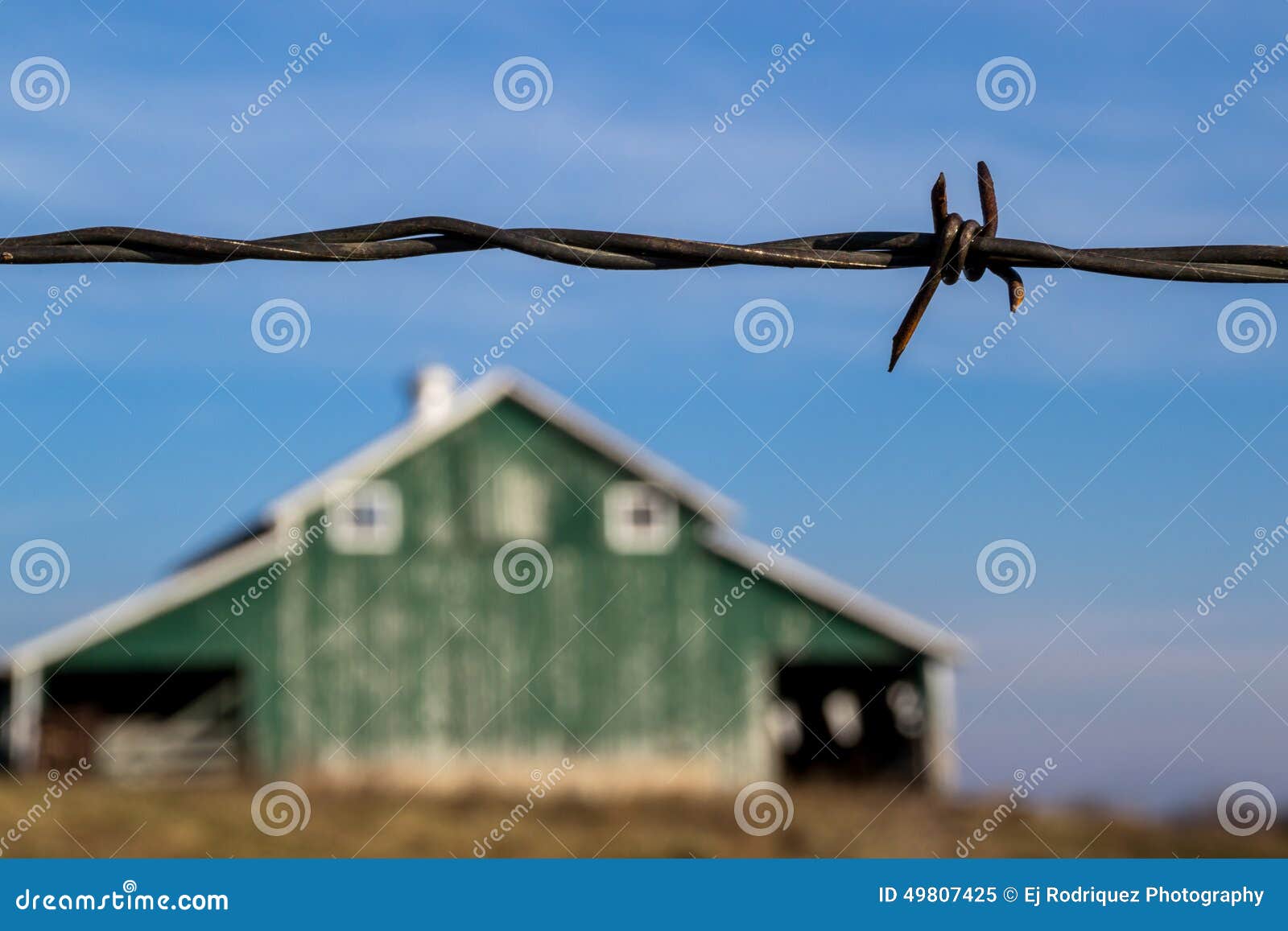 Barbed wire. stock image. Image of green, barn, field - 49807425