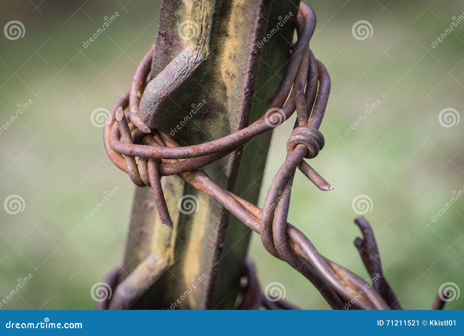 Barbed Wire Fence Post stock image. Image of military - 71211521