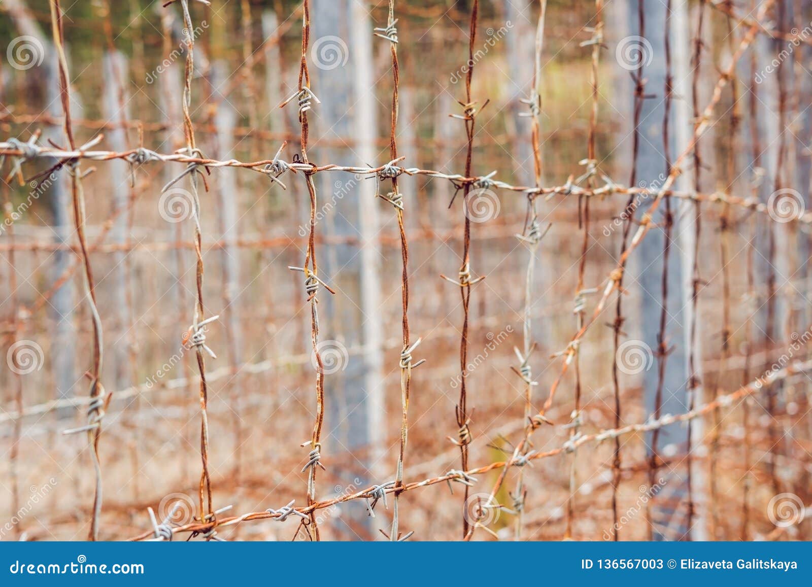 Barbed Wire, a Fence in Prison. Prison Concept. Stock Image - Image of ...