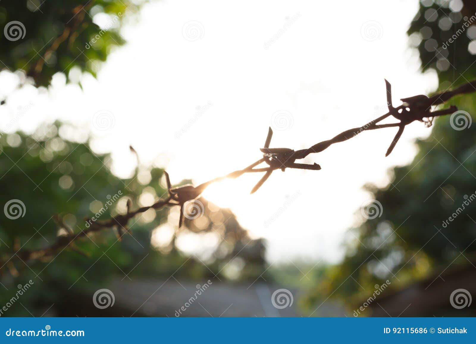Barbed Wire Fence with Sharp Spikes Stock Photo - Image of private ...