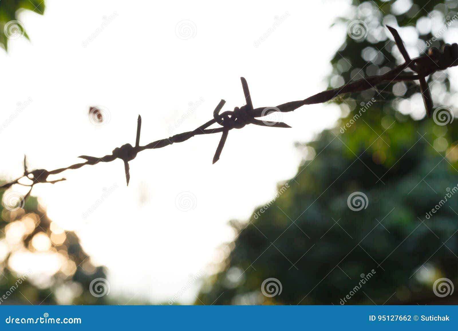 Barbed Wire Fence with Sharp Spikes Stock Photo - Image of fence ...