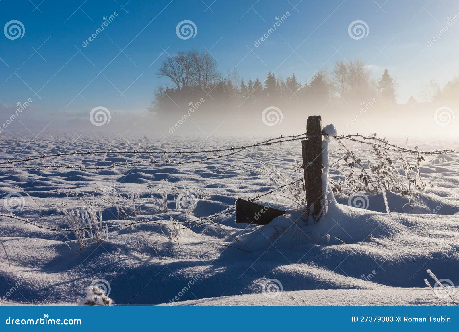 Barbed Wire Fence with Snow Covered Ground Stock Image - Image of color ...
