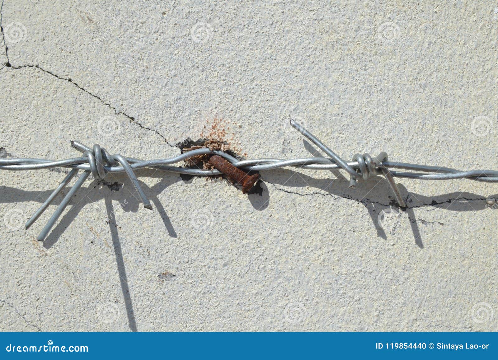 Barbed Wire Fence Squashed Bug Stock Photo - Image of barb, barbed ... Barbed Wire Fence Squashed Bug Stock Photo - Image of barb, barbed ...