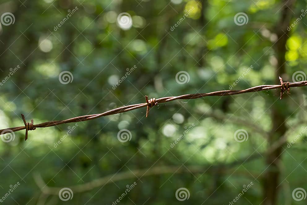 Barbed wire fence stock image. Image of dangerous, county - 99162517