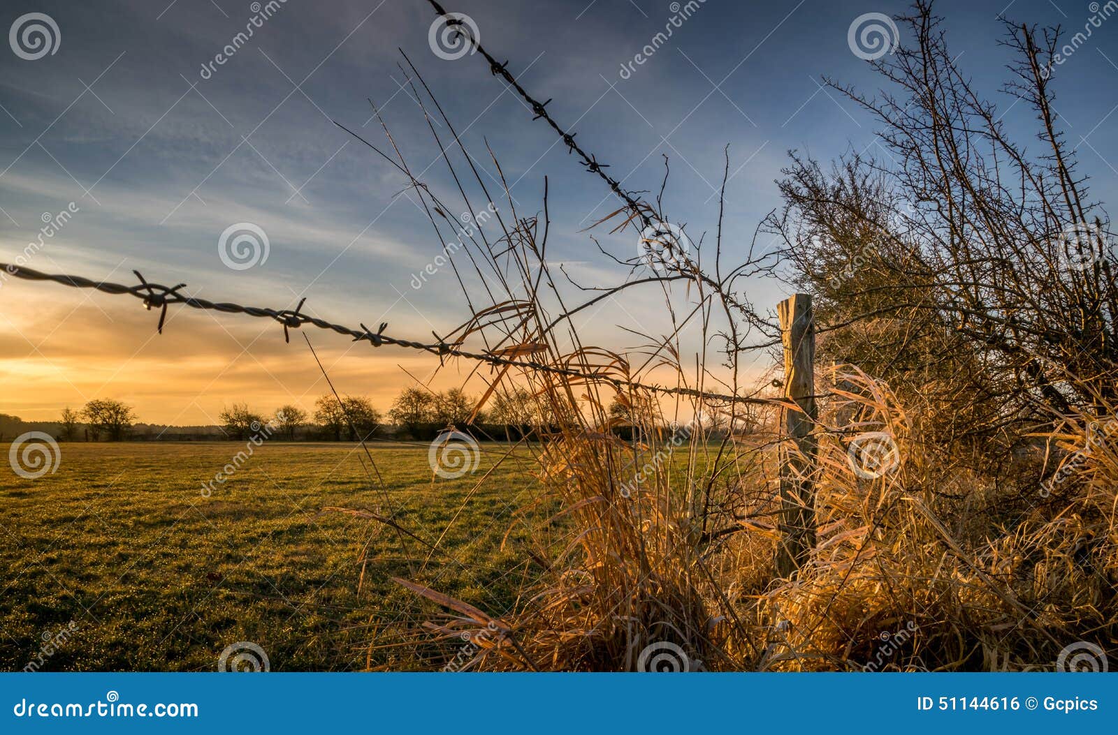 Barbed Wire Fence in Countryside Stock Photo - Image of post, sunrise ...