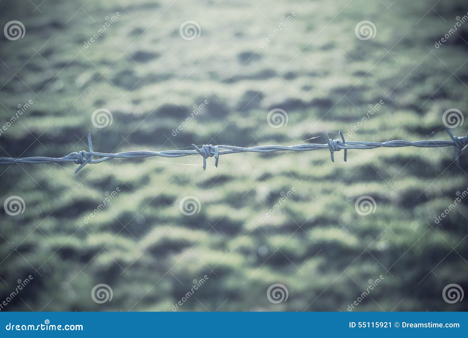 Barbed wire in a field stock image. Image of barbed, grass - 55115921