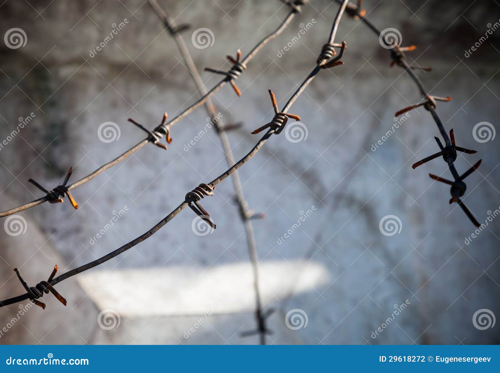 Barbed wire fragment stock photo. Image of danger, dirty - 29618272