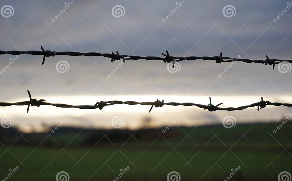 Barbed Wire in Front of a Field at Sunset Stock Photo - Image of light ...