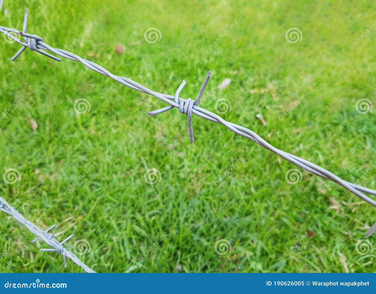 Barbed wire and grass. stock image. Image of outdoor - 190626005
