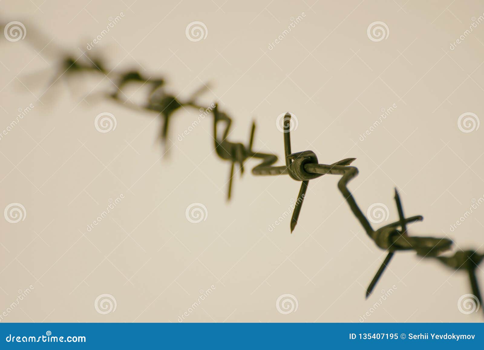 Barbed Wire on Gray Background. Close-up Stock Image - Image of ...