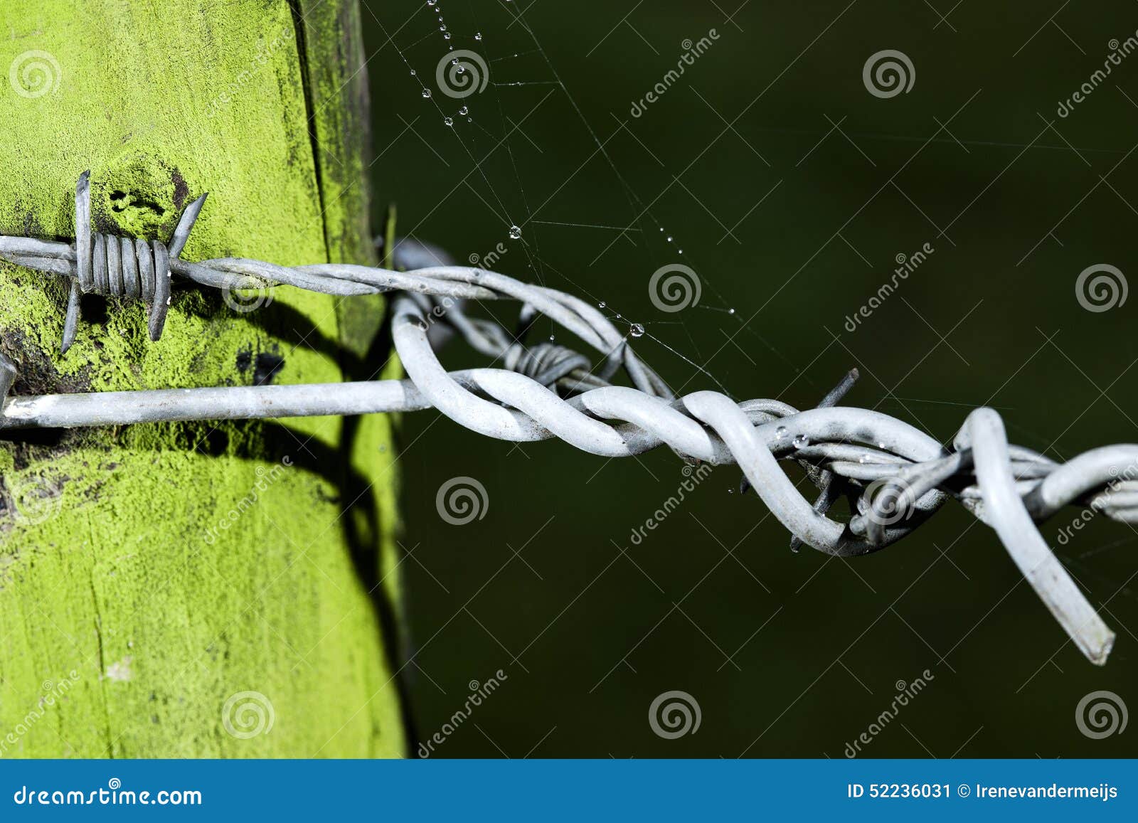 Barbed wire stock image. Image of close, isolated, bind - 52236031