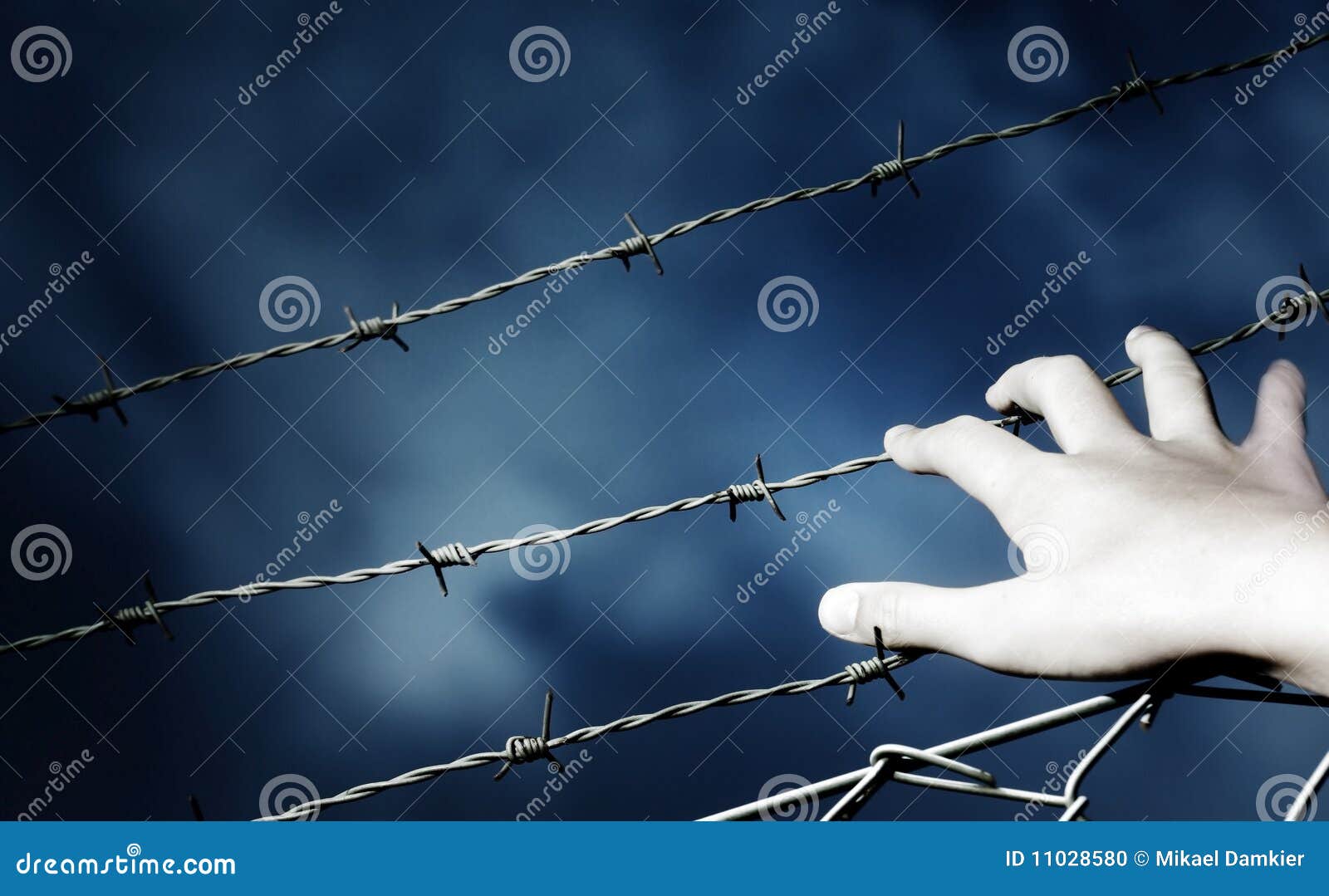 Barbed Wire and a hand stock photo. Image of human, fence - 11028580