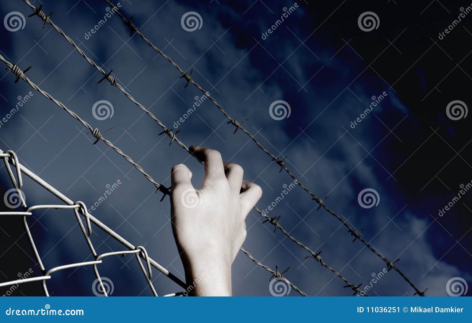 Barbed Wire Hand Stock Photos - Royalty Free Images