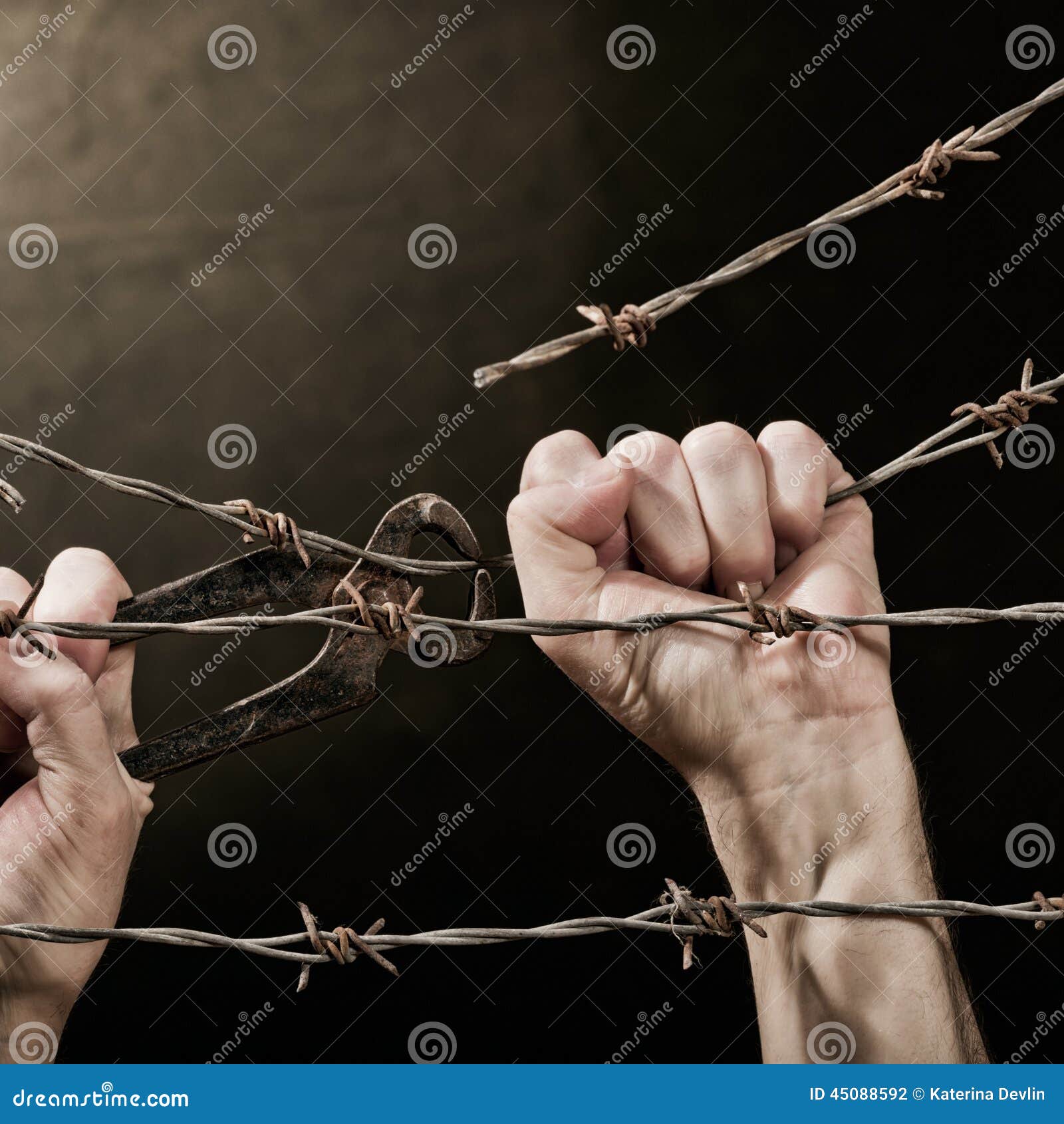 Barbed wire with hands stock photo. Image of pincers - 45088592