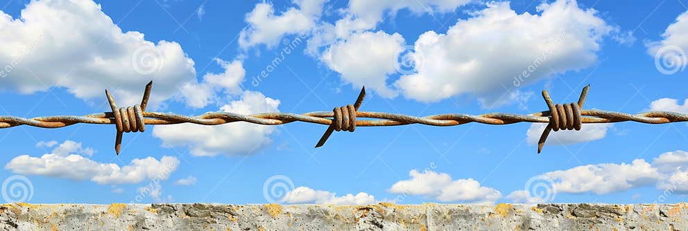 Barbed Wire Installation Enhances Security on Top of a Solid Concrete ...