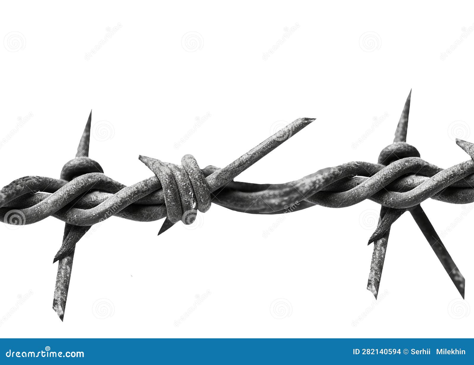 Barbed Wire Isolated on Transparent Background Stock Illustration ...