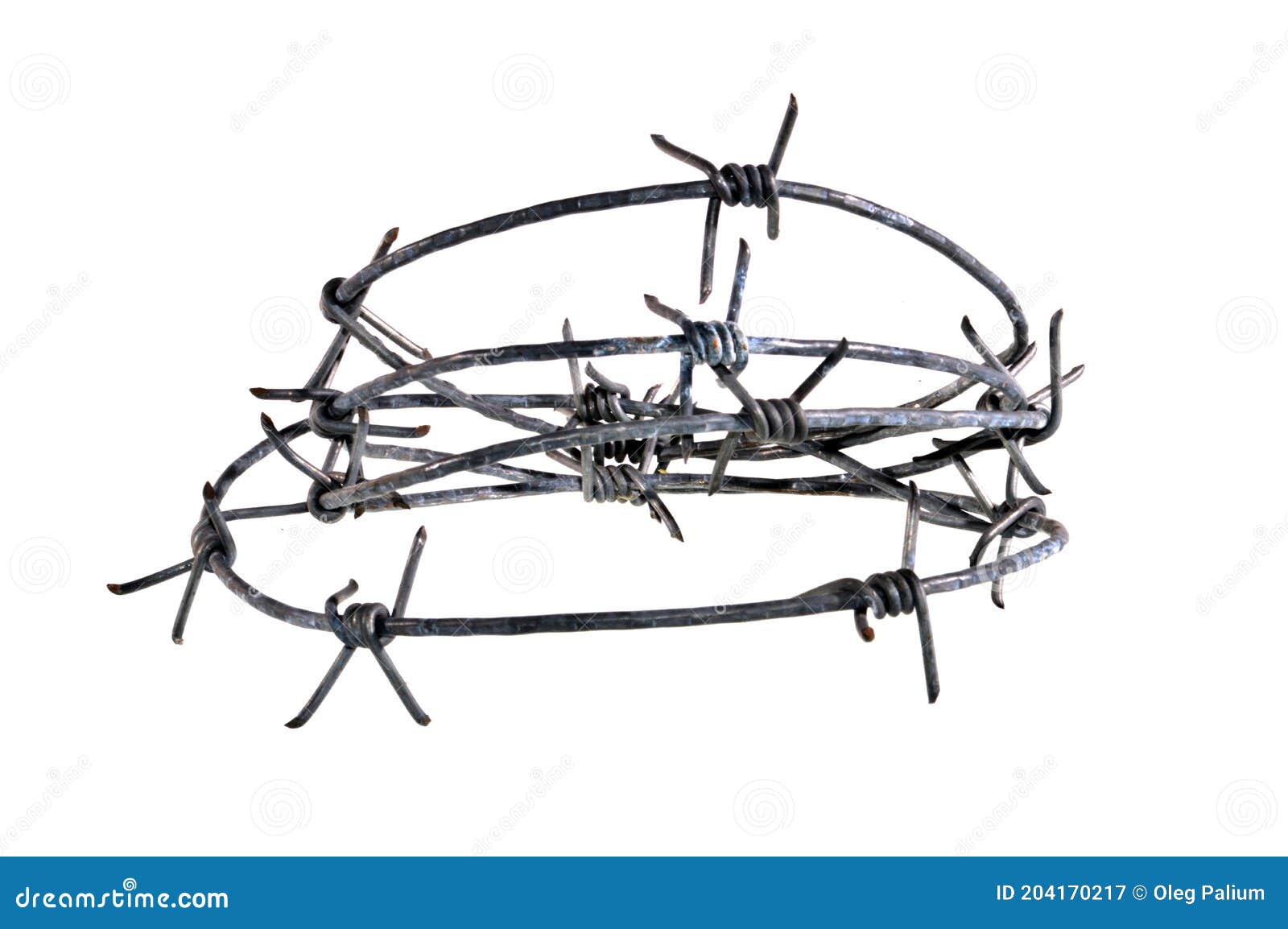 Barbed Wire Isolated on White Background Stock Image - Image of detail ...