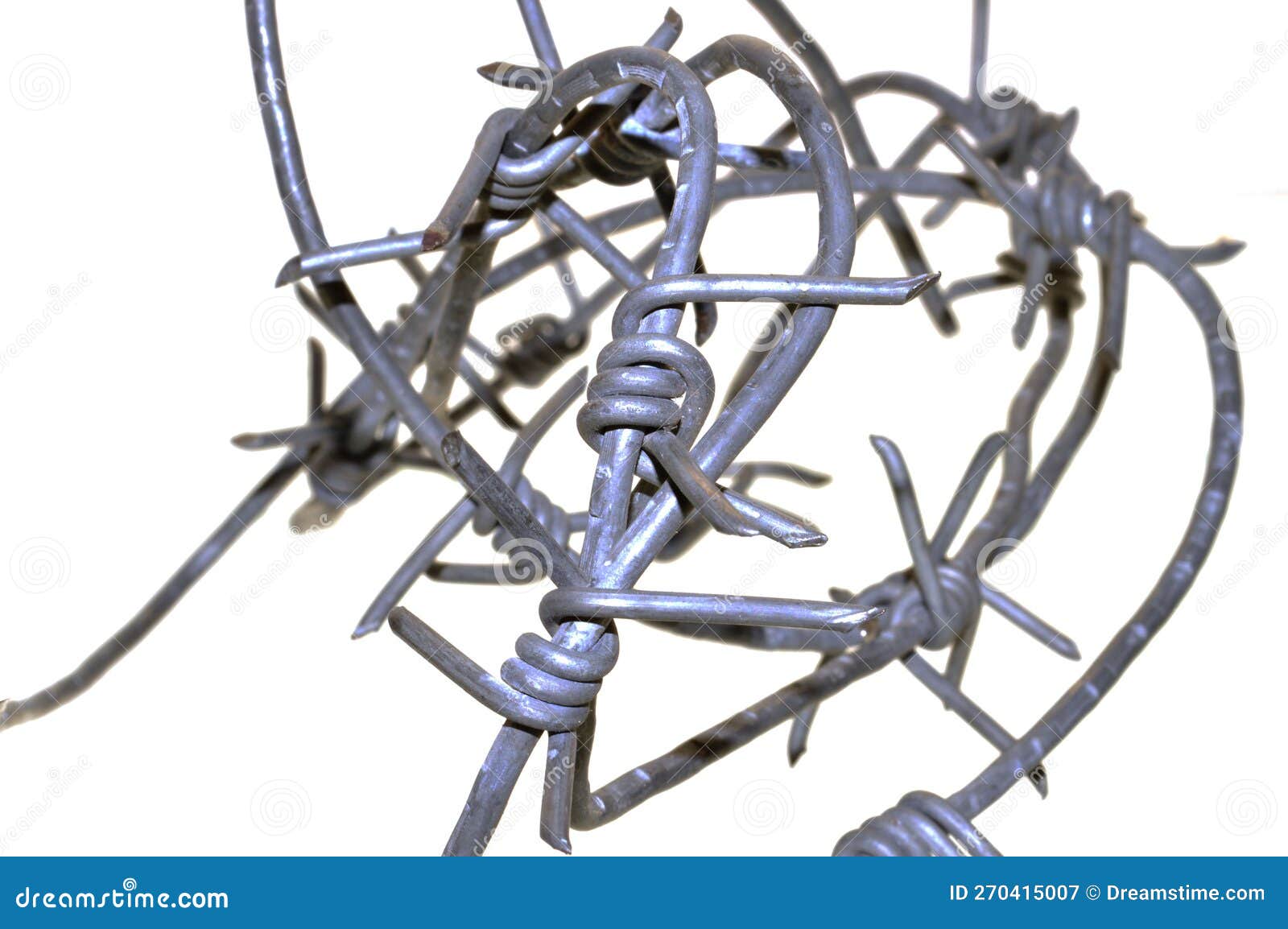 Barbed Wire Isolated on White Background Stock Image - Image of wire ...