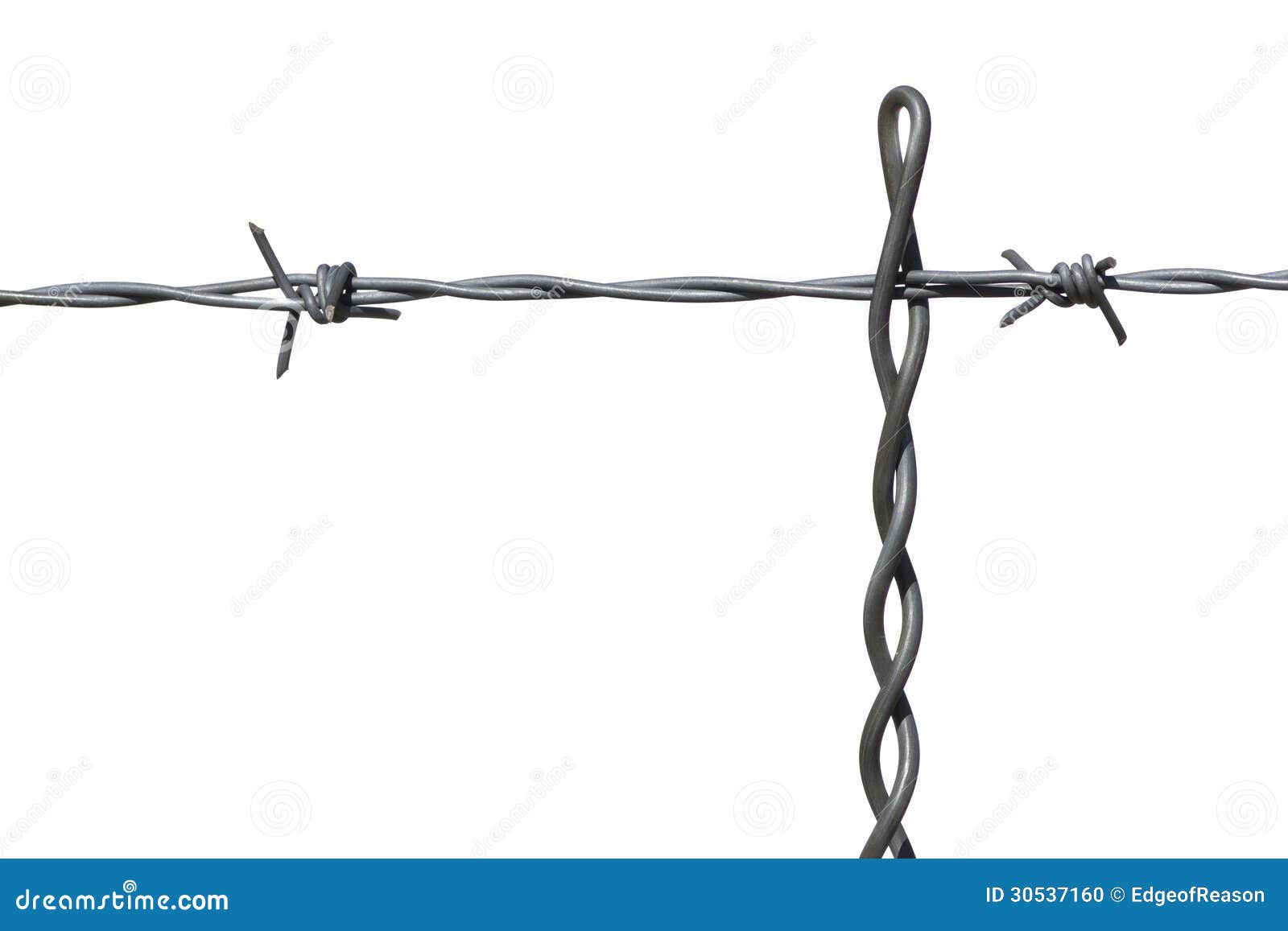 Barbed Wire Isolated on White Stock Photo - Image of reflection ...