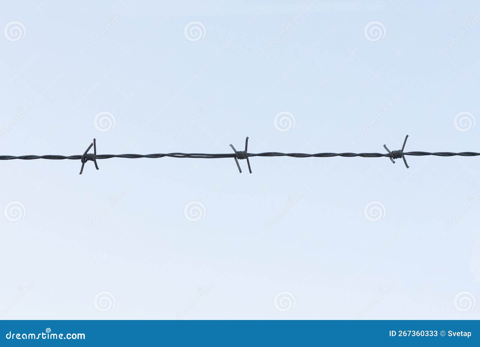 Barbed Wire Isolated on White Photo Stock Image - Image of prohibit ...