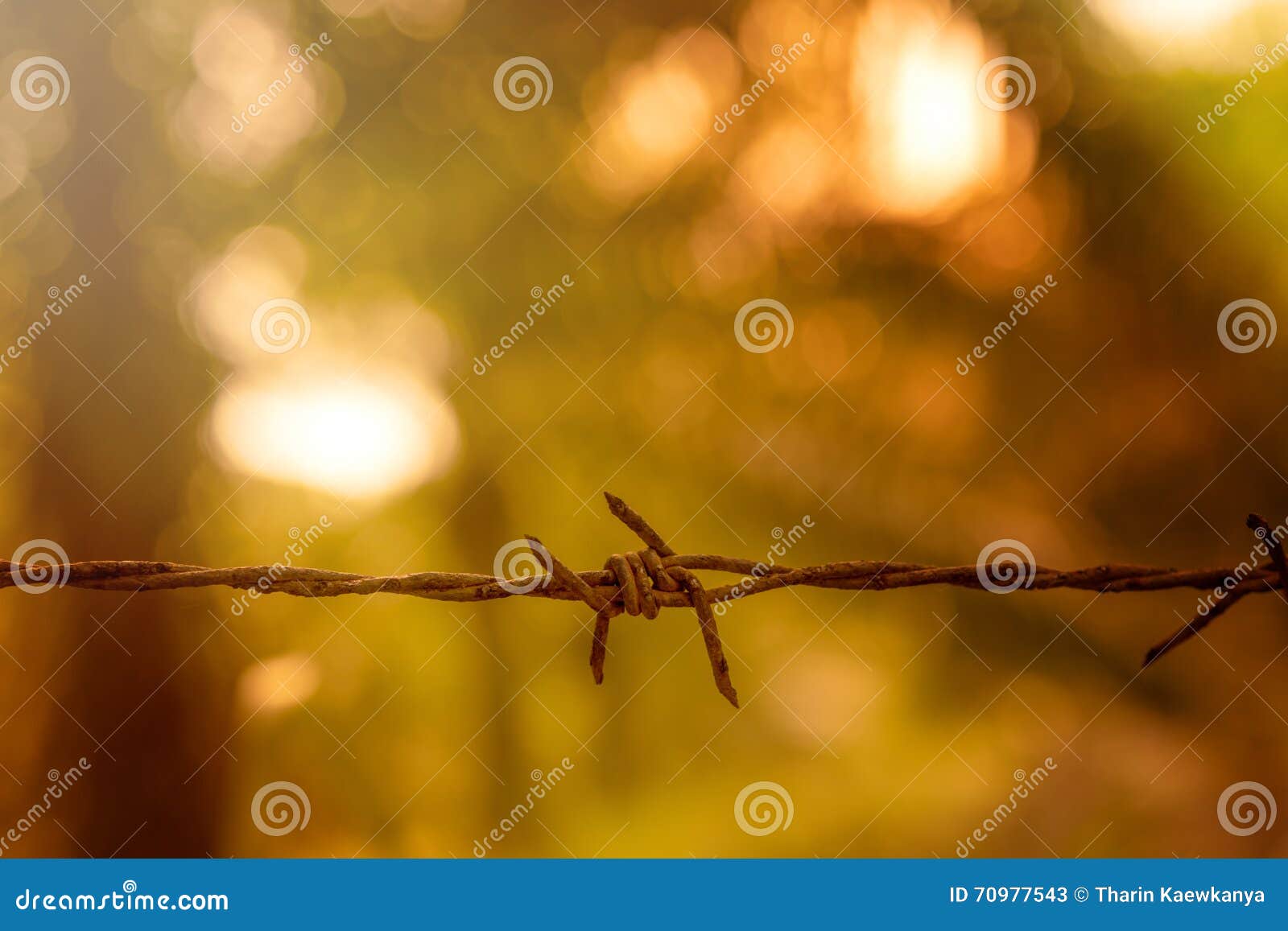 Barbed wire stock image. Image of thorn, background, cloud - 70977543