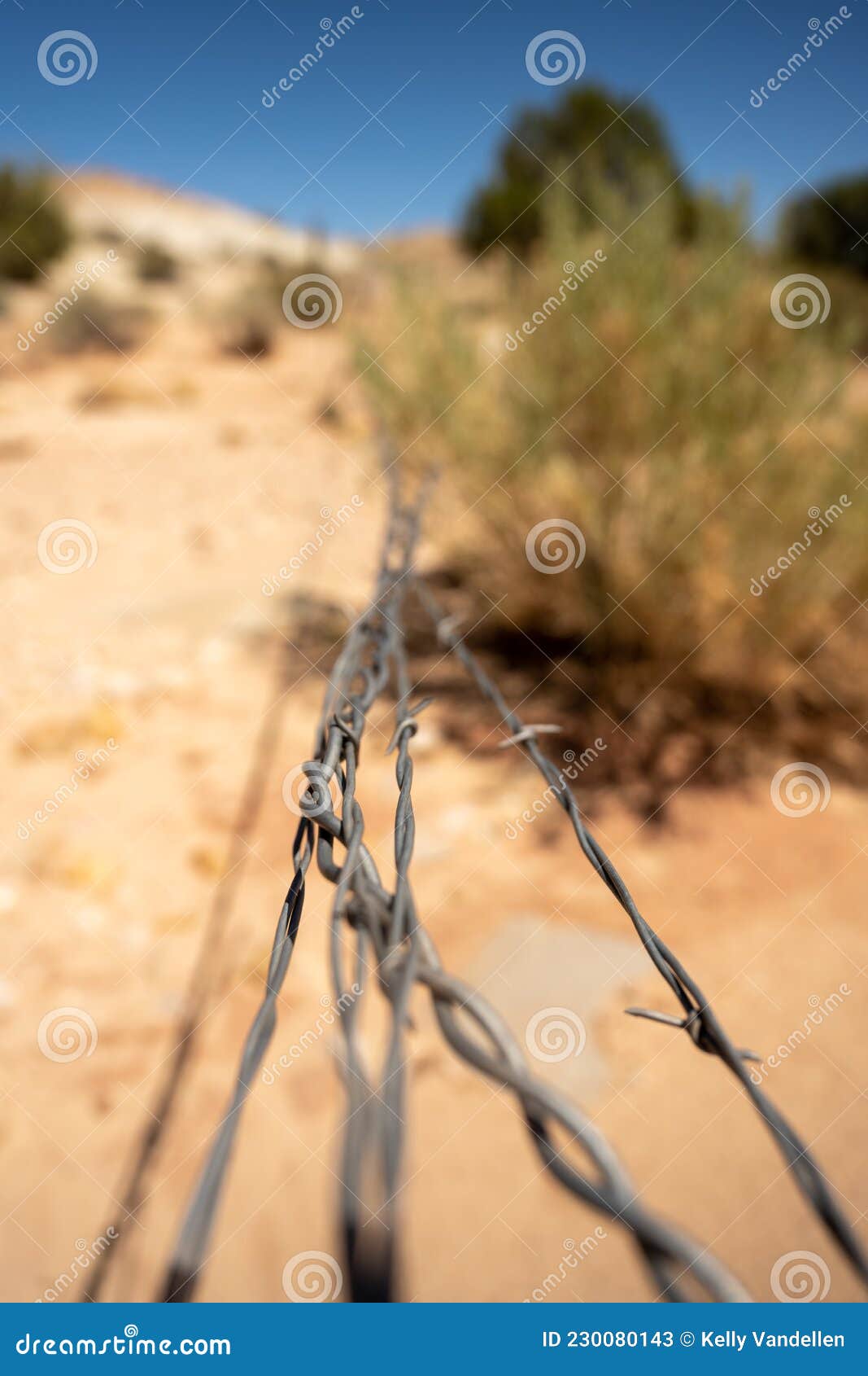 Barbed Wire Marks the Edge of the Park Stock Image - Image of peaks ...