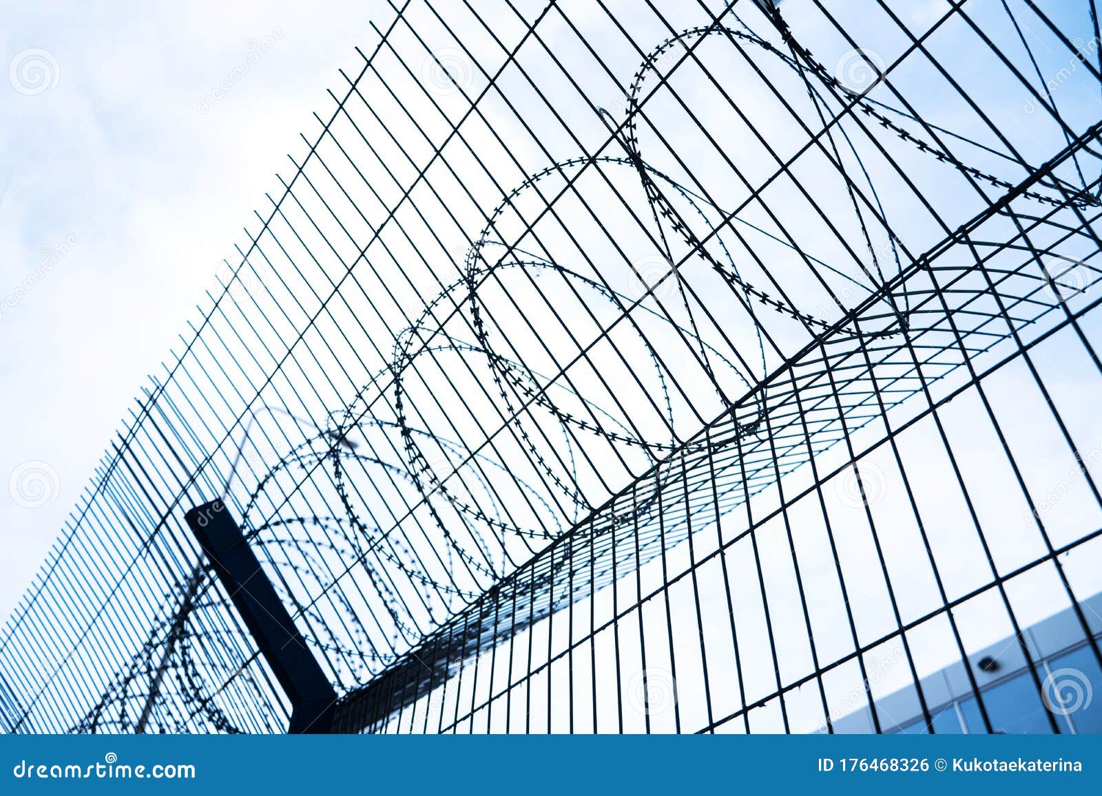Barbed Wire Mesh Fence. Close-up Stock Photo - Image of barbwire ...