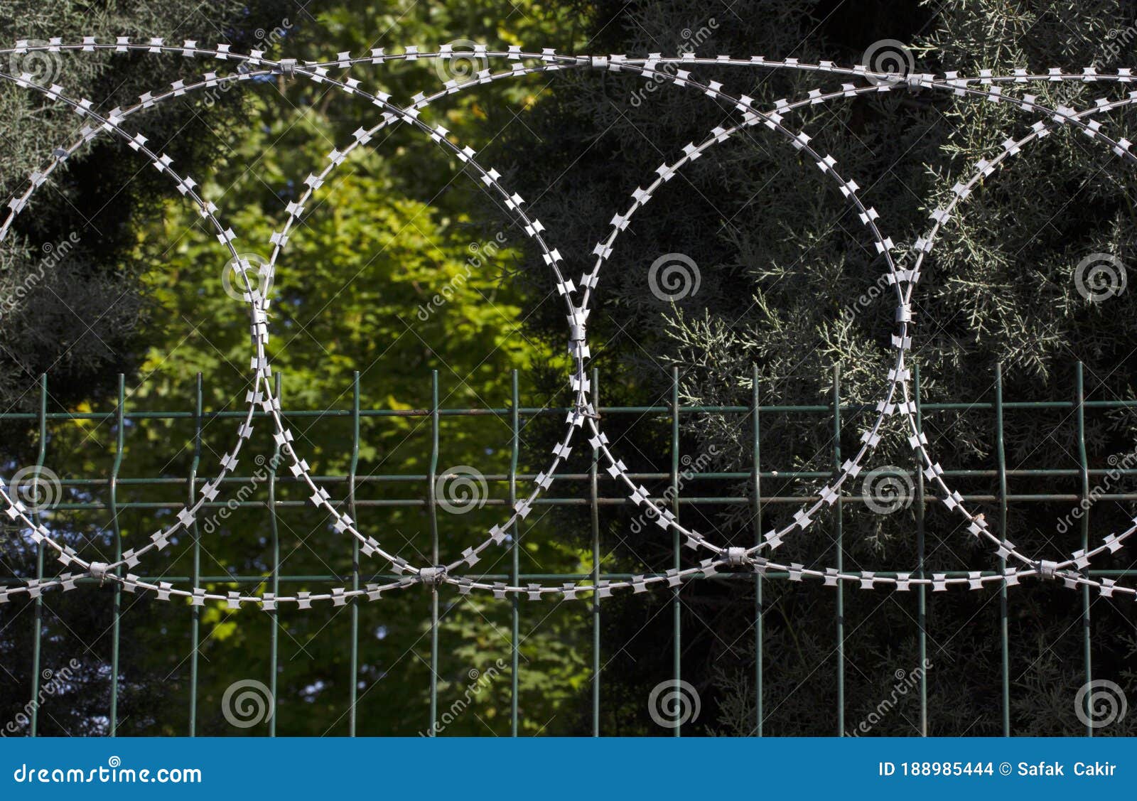 Barbed wire mesh stock photo. Image of metallic, building - 188985444