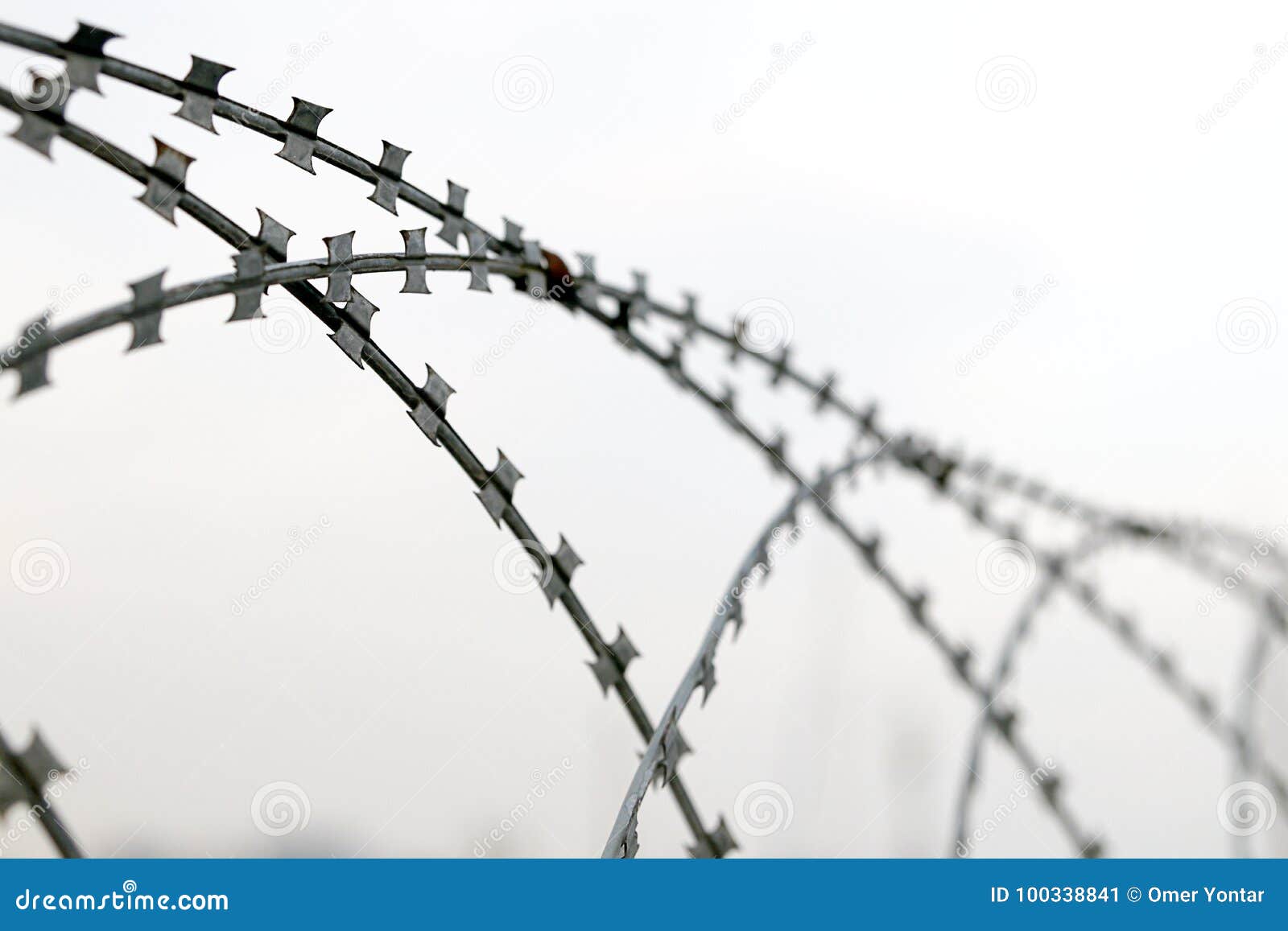Barbed Wire Mesh stock image. Image of sharp, isolation - 100338841