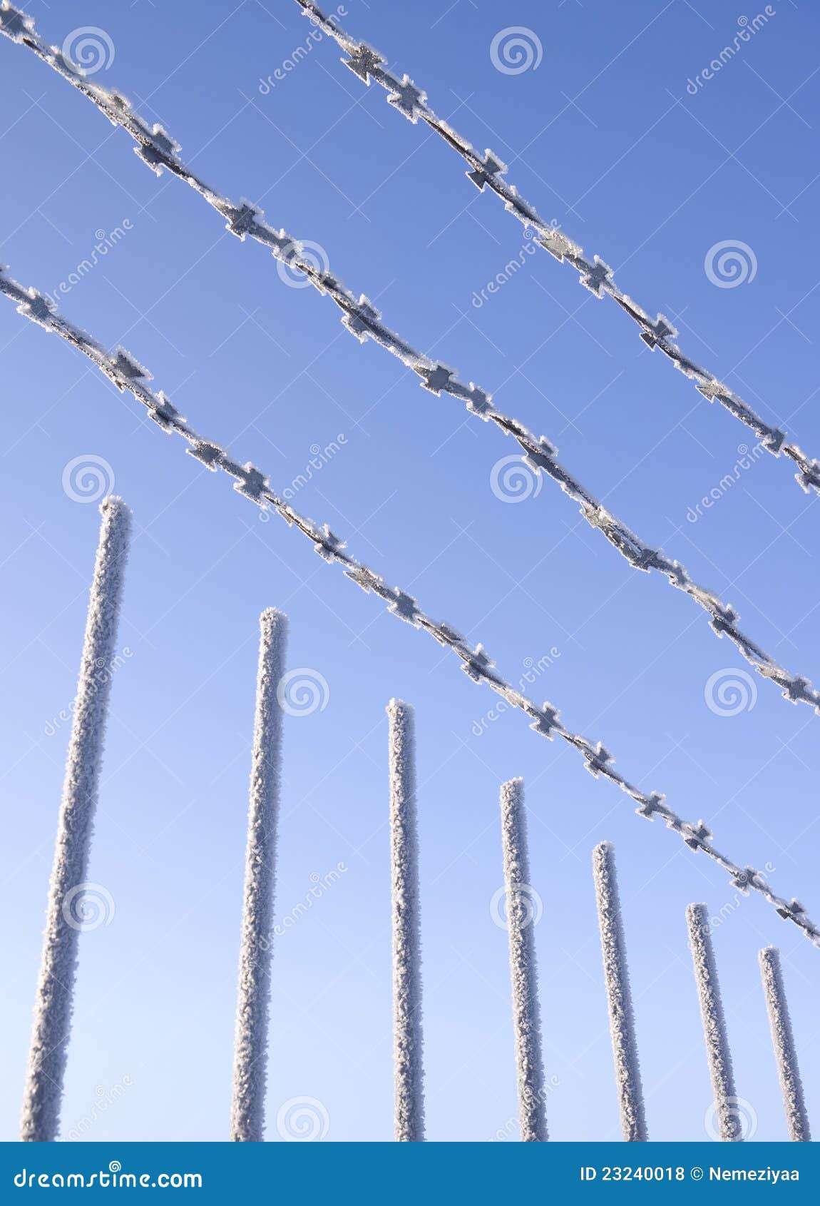 Barbed Wire and Metal Protection Stock Photo - Image of barbwire ...