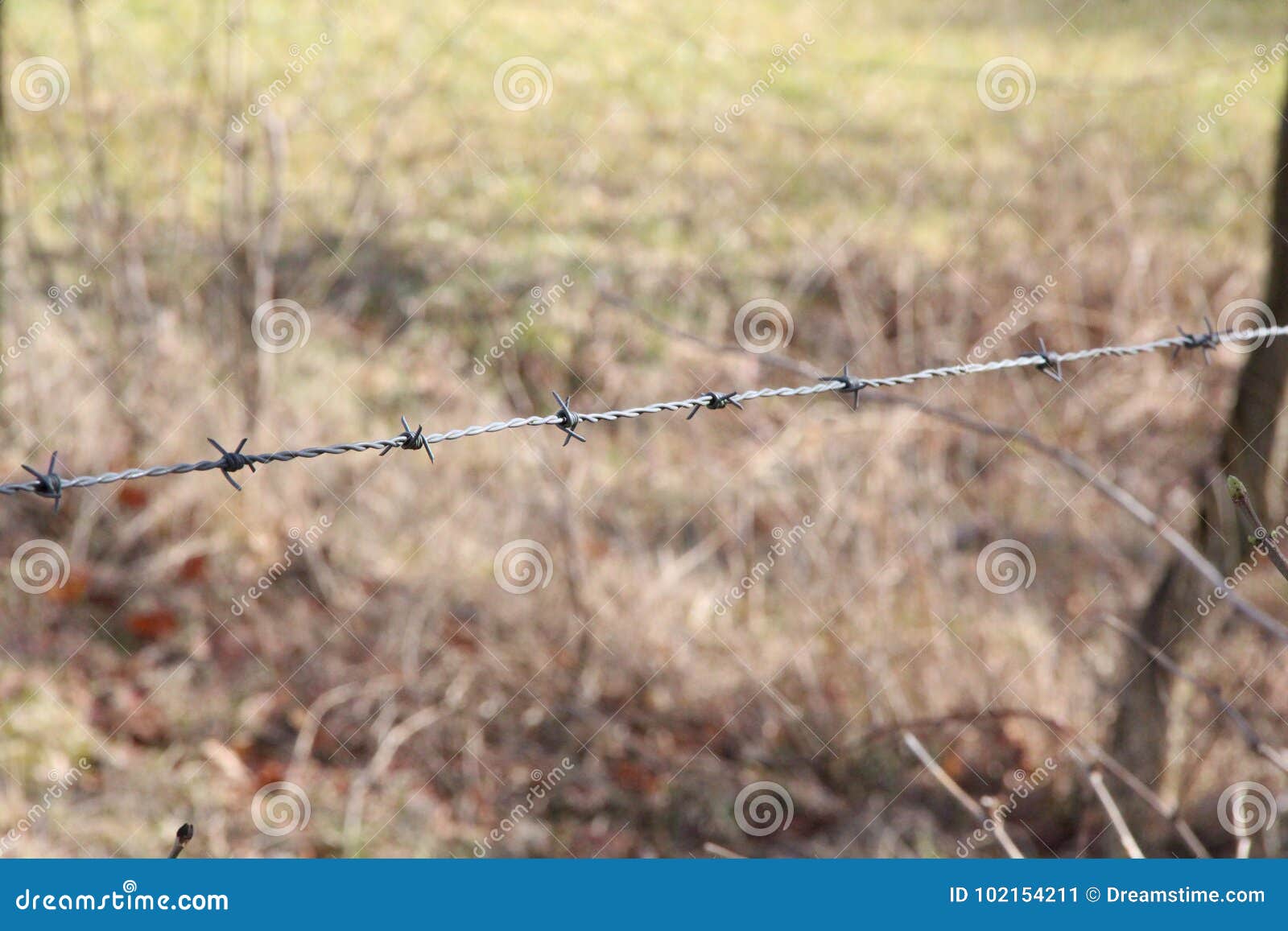 Barbed wire stock image. Image of barbed, scary, scar - 102154211