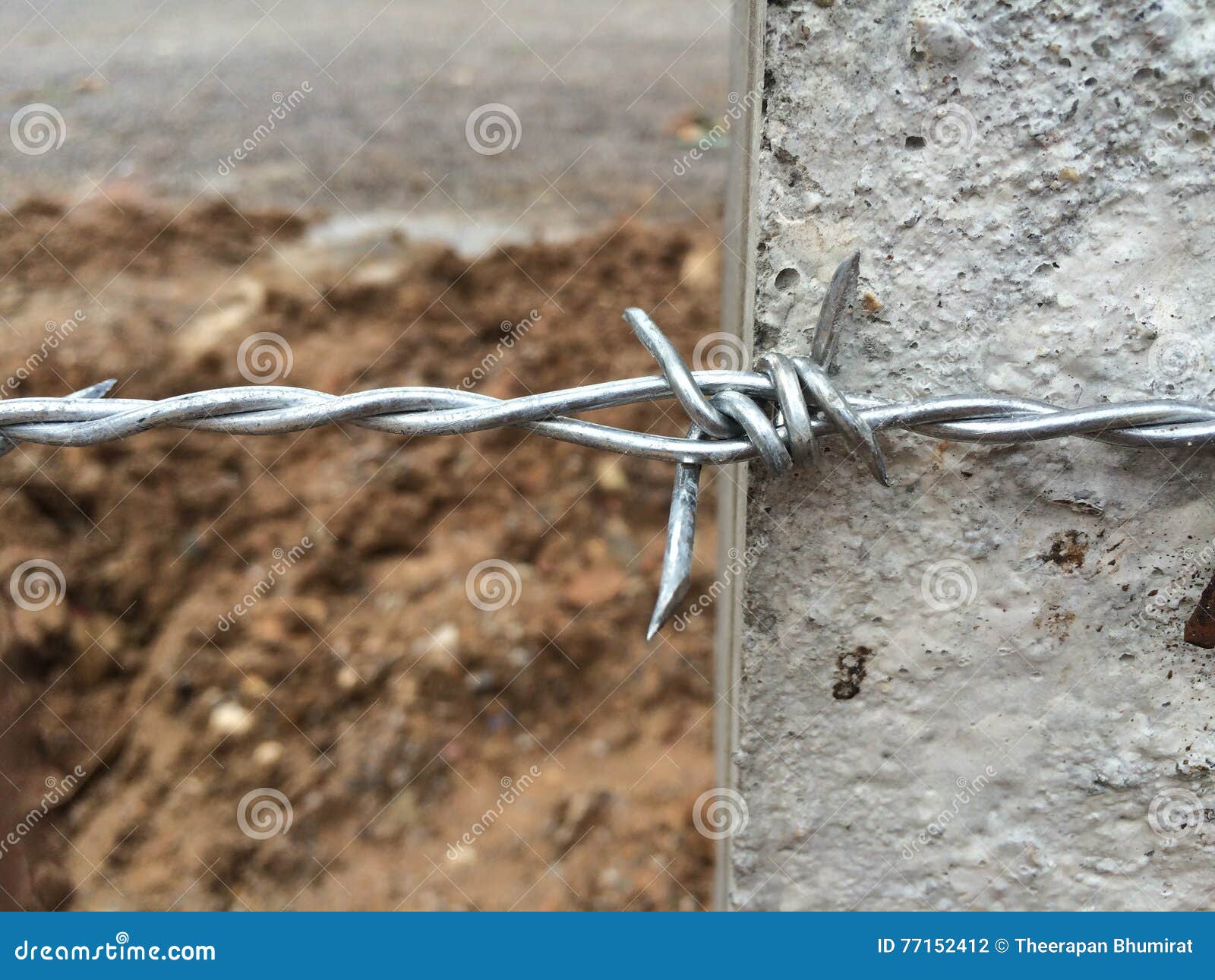 Barbed wire stock photo. Image of barb, metal, fence - 77152412