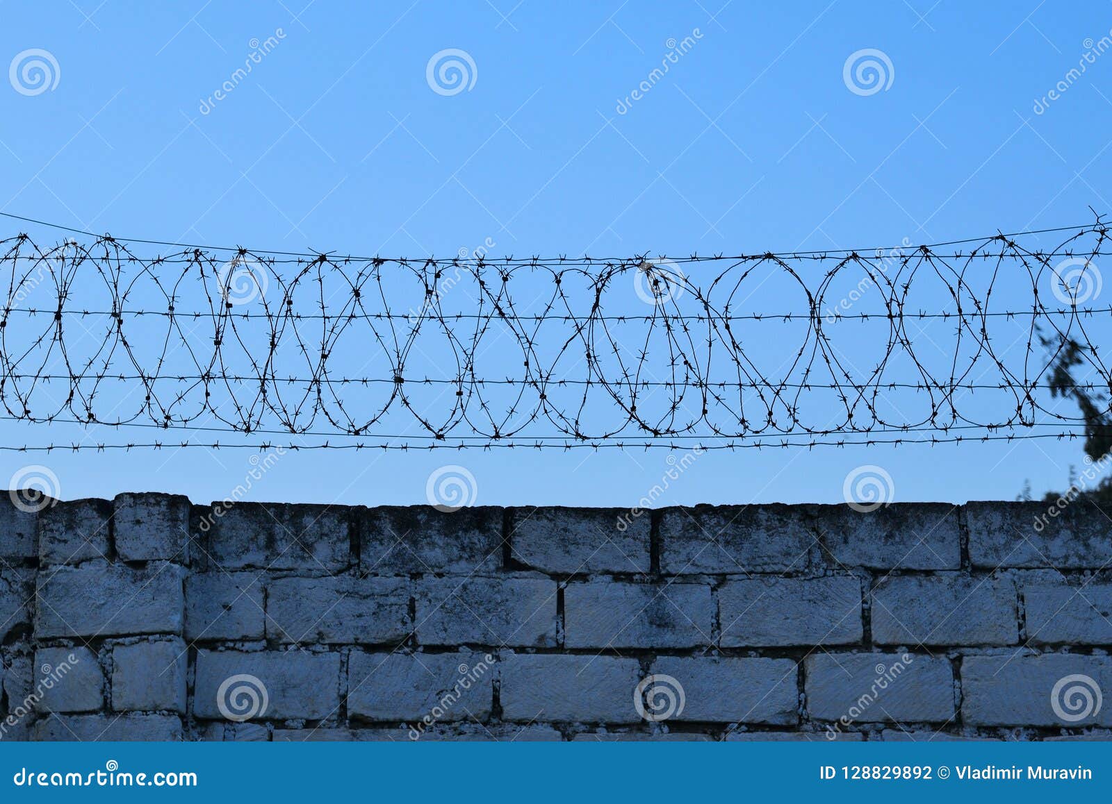 Barbed Wire Over a Brick Wall Stock Photo - Image of boundary, abstract ...