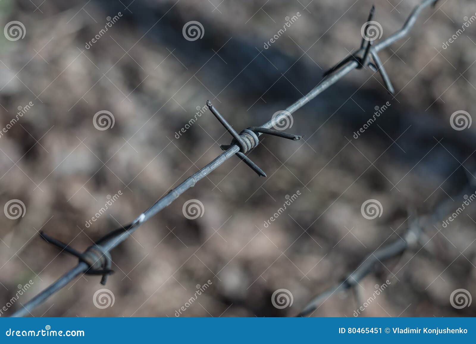 Barbed wire stock image. Image of sharp, barb, prickly - 80465451