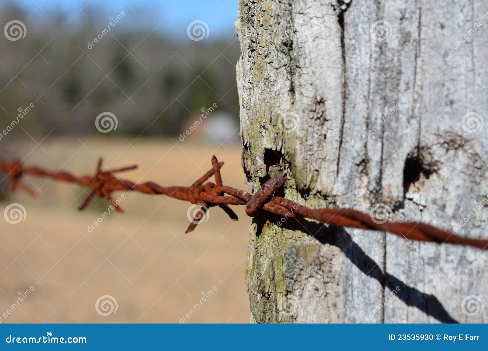 Barbed Wire and Post stock photo. Image of barbed, fence - 23535930