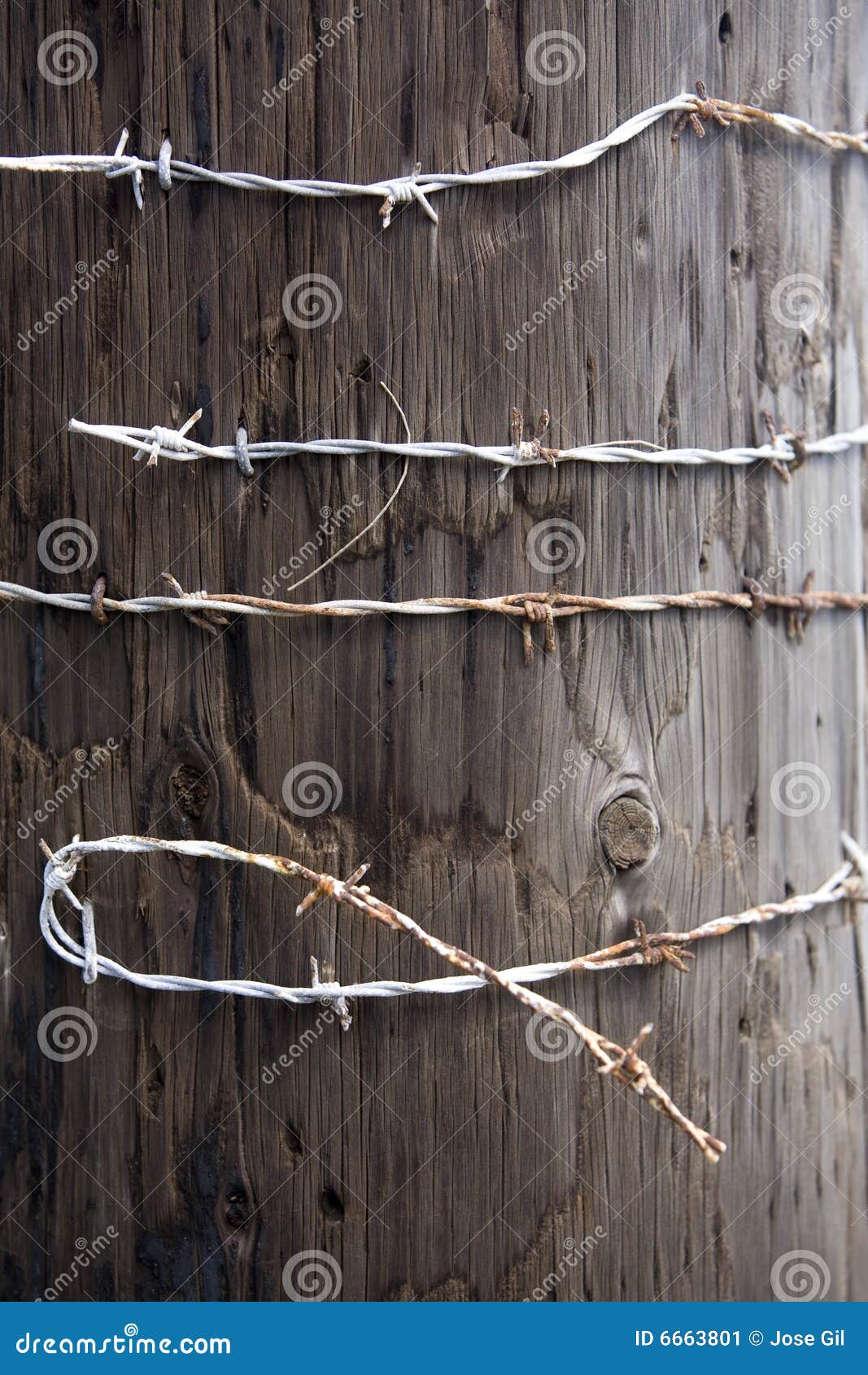 Barbed Wire Post stock image. Image of side, post, barbed - 6663801