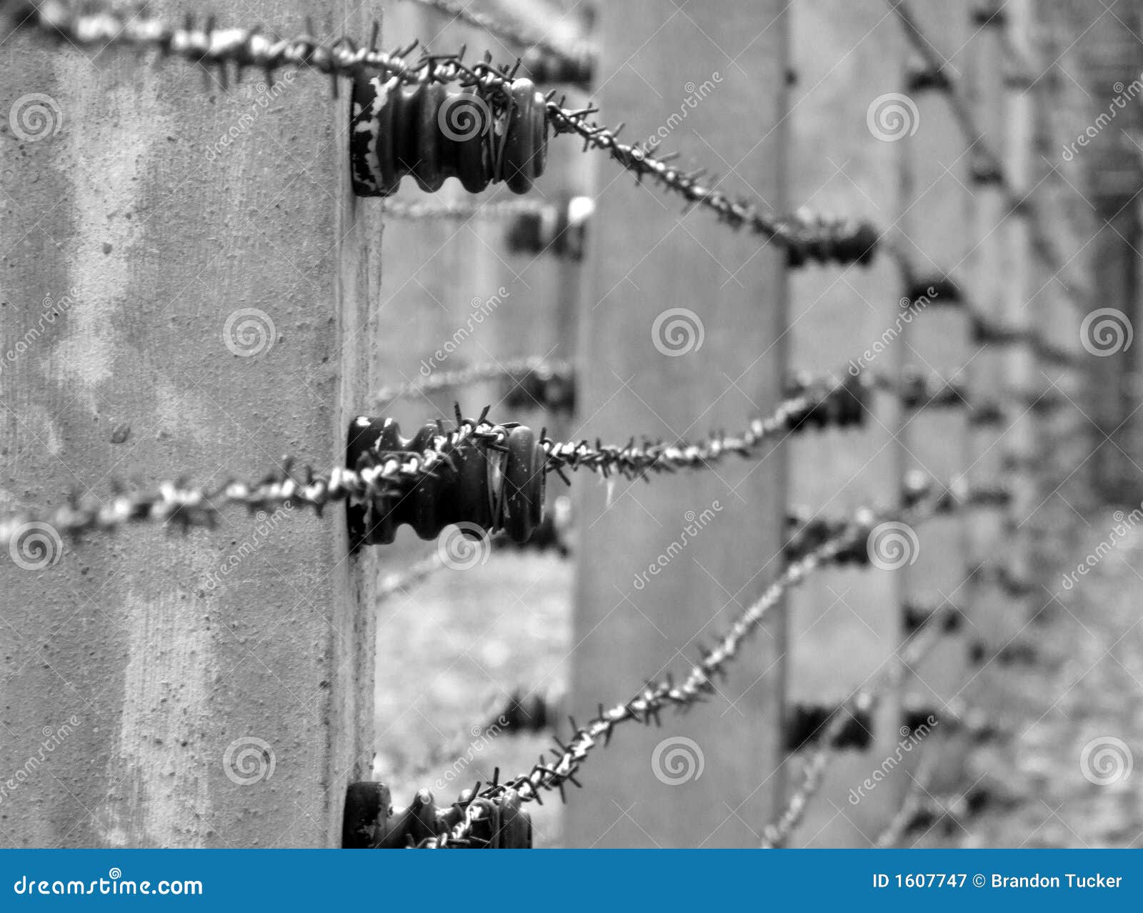 Barbed wire in prison editorial photography. Image of white - 1607747