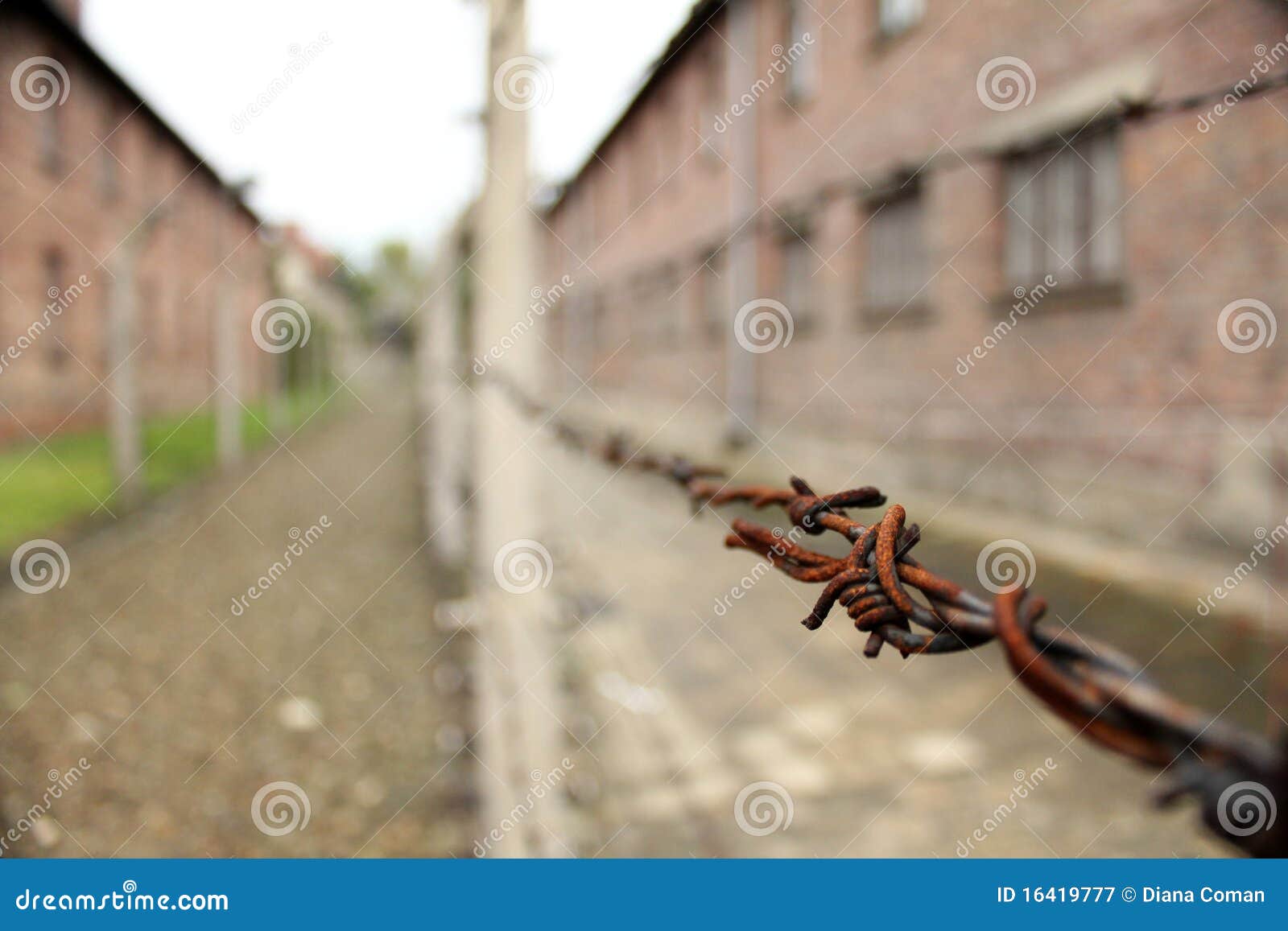 Barbed wire - prison editorial photography. Image of barbed - 16419777