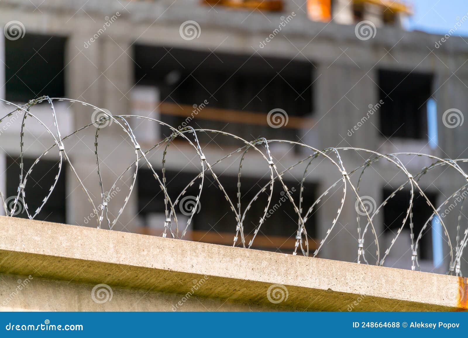 Barbed wire in the prison. stock photo. Image of danger - 248664688