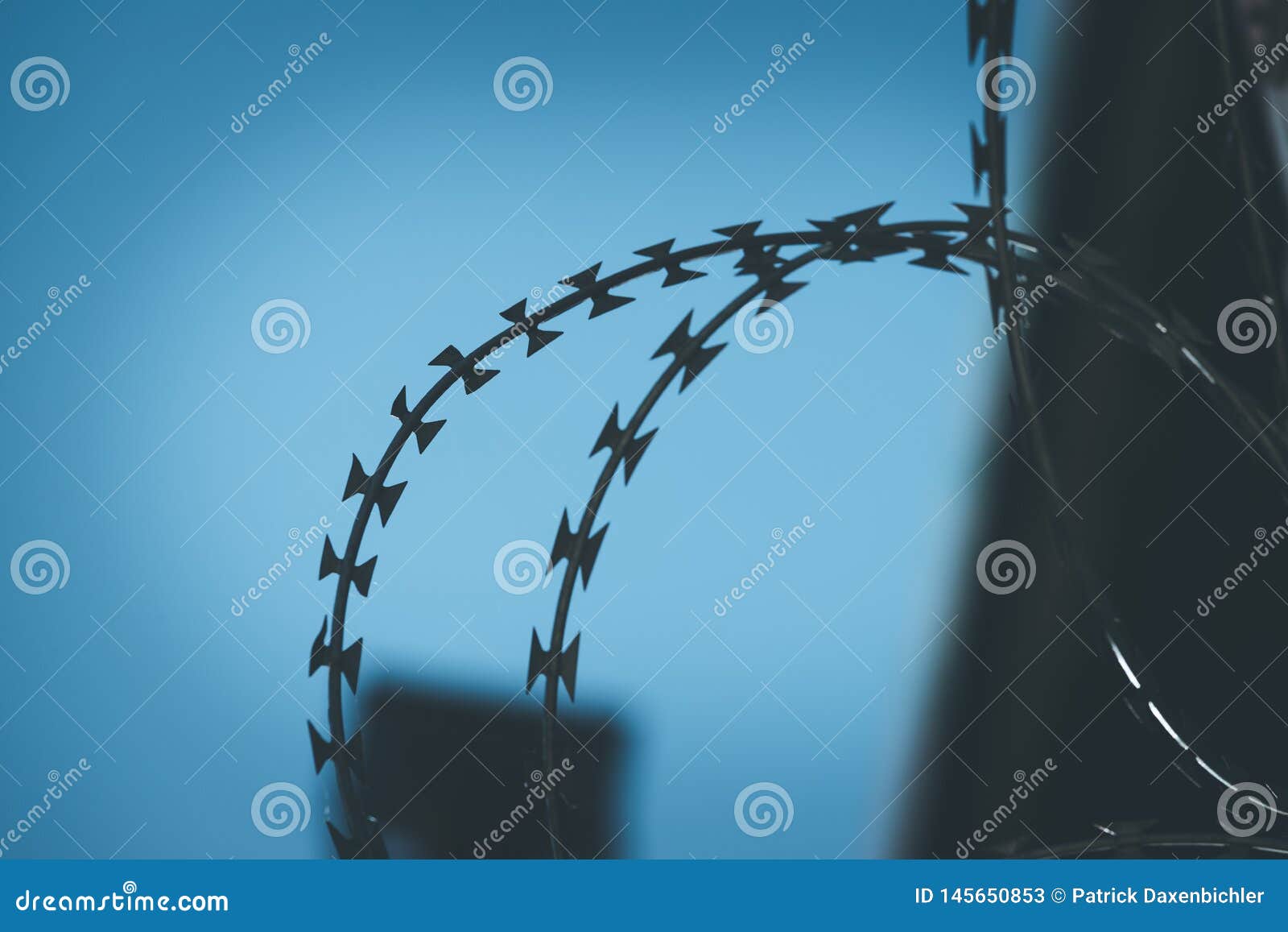 Barbed Wire in the Prison or on Military Base, Close Up Perspective ...