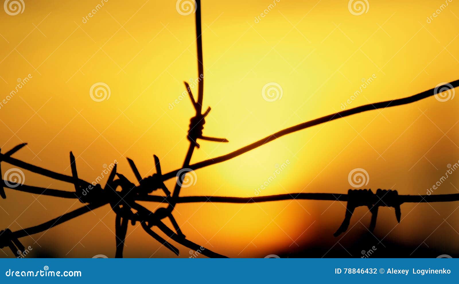 Barbed Wire Prison Sunset Orange Stock Footage - Video of dusk, prevent ...