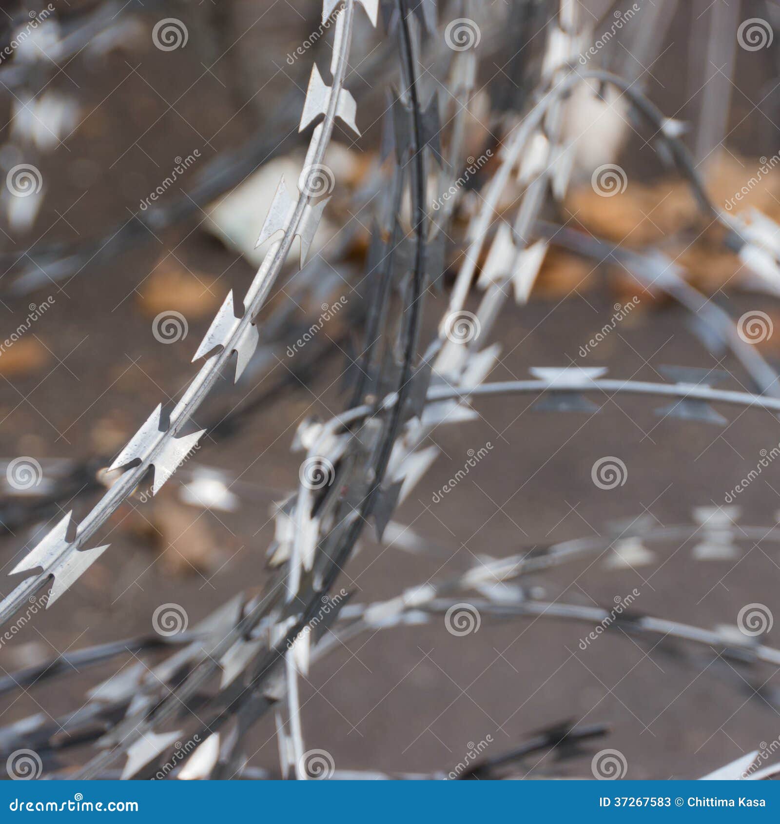 Barbed wire stock image. Image of spike, razor, metal - 37267583