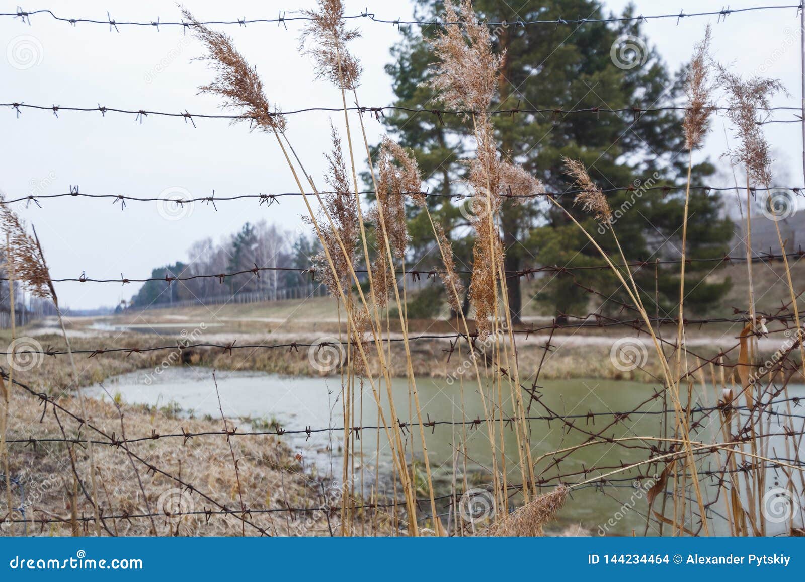 Barbed Wire River Fencing. Dangerous Closed Area Stock Photo - Image of ...