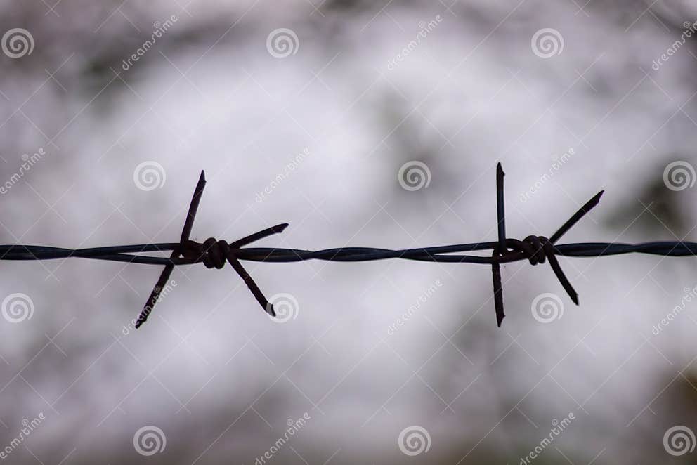 Barbed Wire on the Road by the Way . Stock Image - Image of industry ...