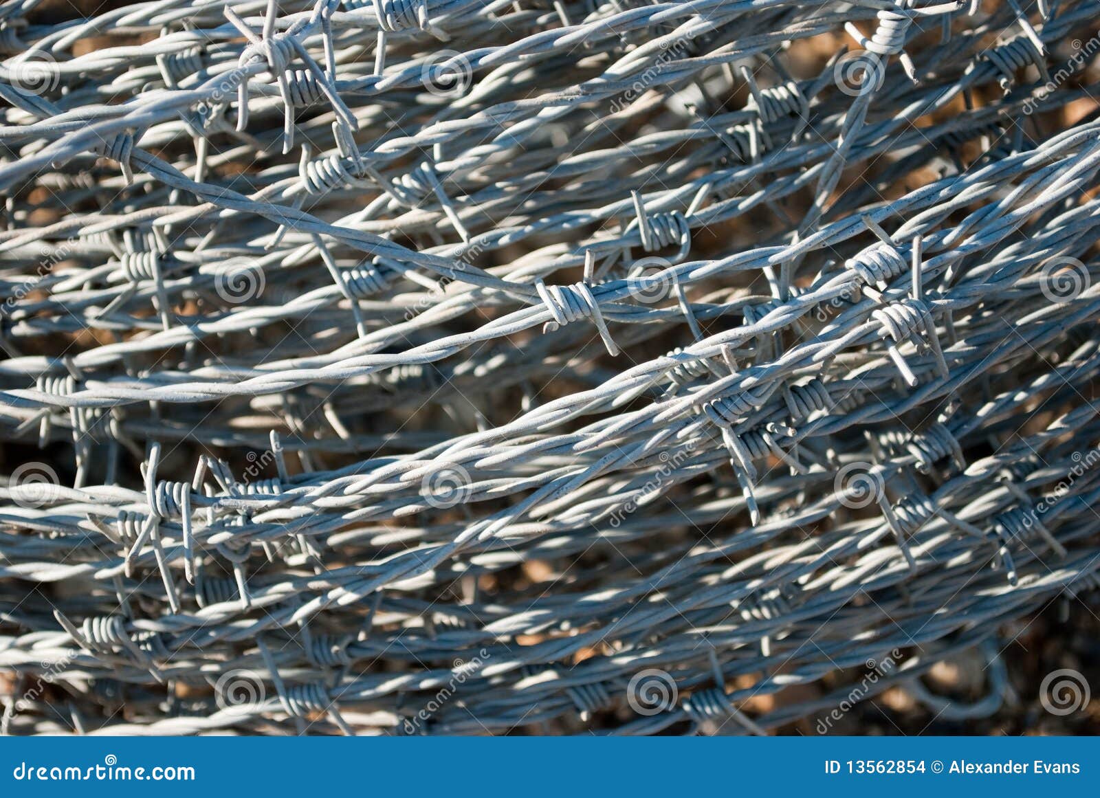 Barbed Wire Roll stock photo. Image of wire, horizontal - 13562854