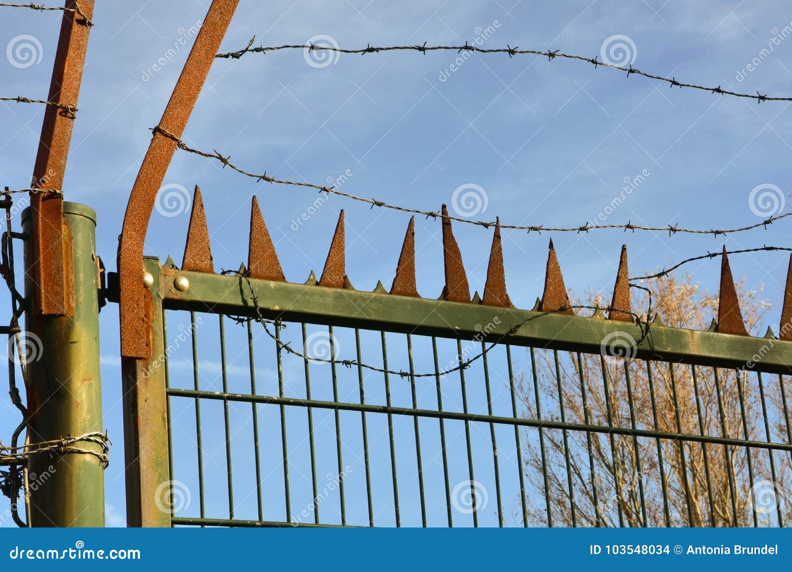 Barbed Wire on a Rusted Iron Gate Stock Photo - Image of barb, danger ...