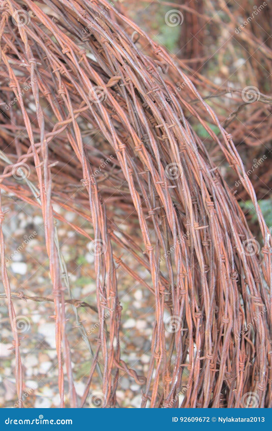 Barbed wire stock photo. Image of points, discomfort - 92609672