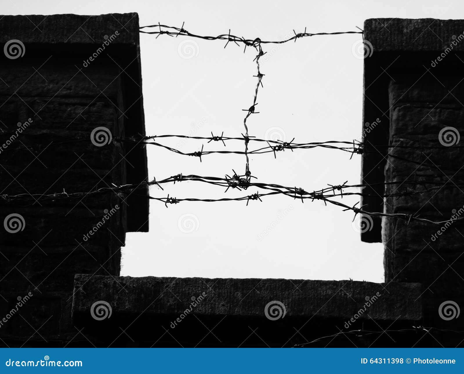 Barbed Wire Scary Danger Black Dark Stock Photo - Image of fence ...