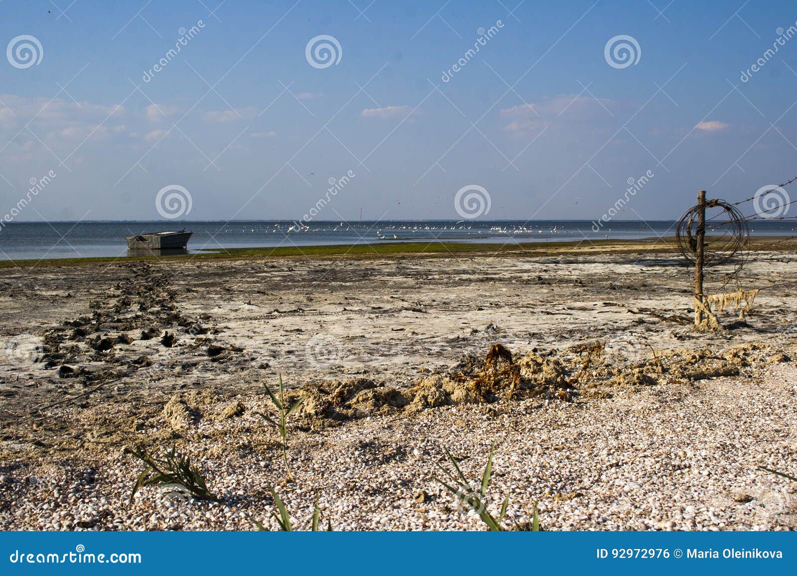 Barbed Wire by the Sea and Boat Stock Photo - Image of retro, landscape ...