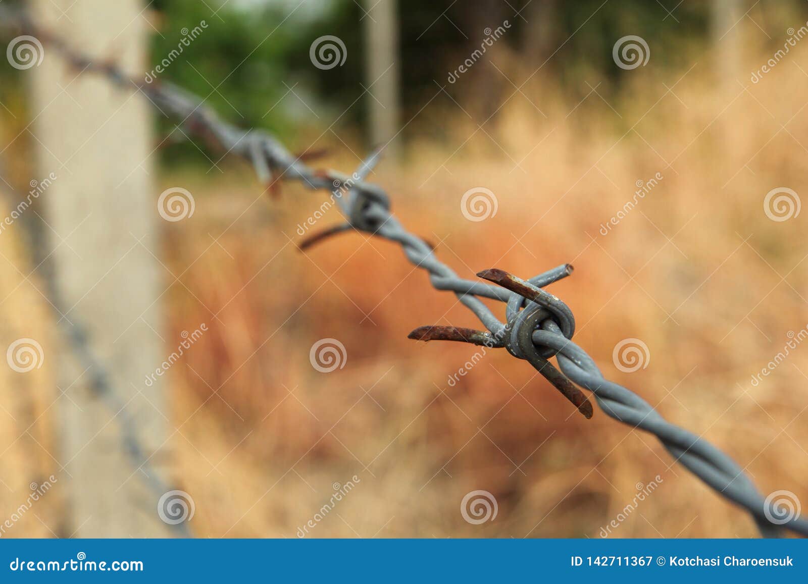 Jail Pattern Stock Image | CartoonDealer.com #599095